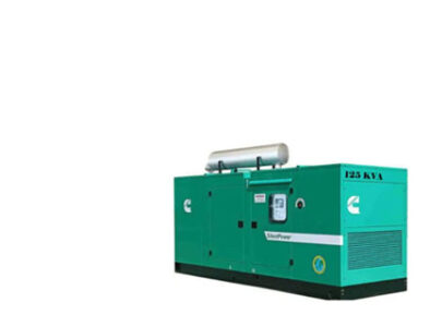 Retrofit Emission Control Device, Dual Fuel Kit- Dealer & Manufacturer